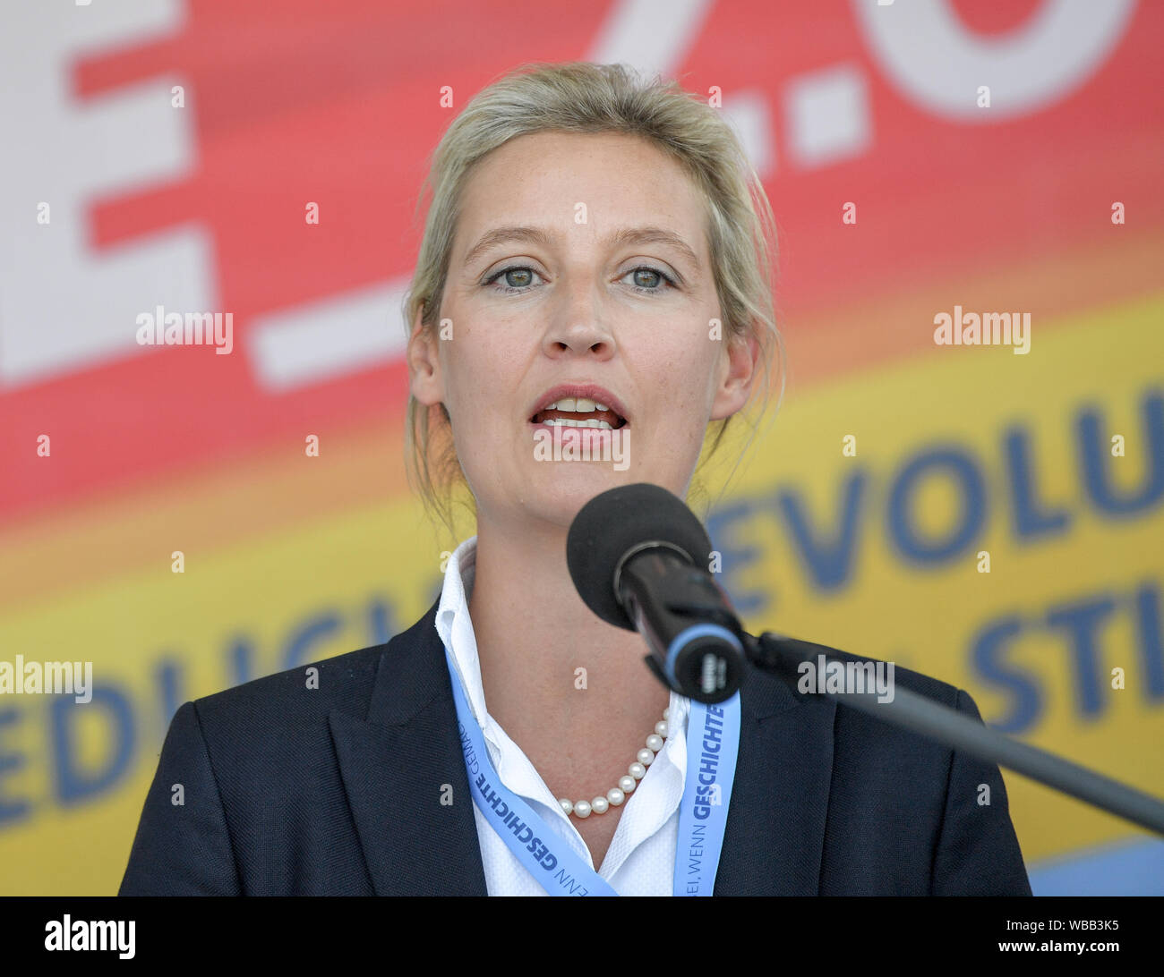 Peitz, Germany. 25th Aug, 2019. Alice Weidel, leader of the AfD ...