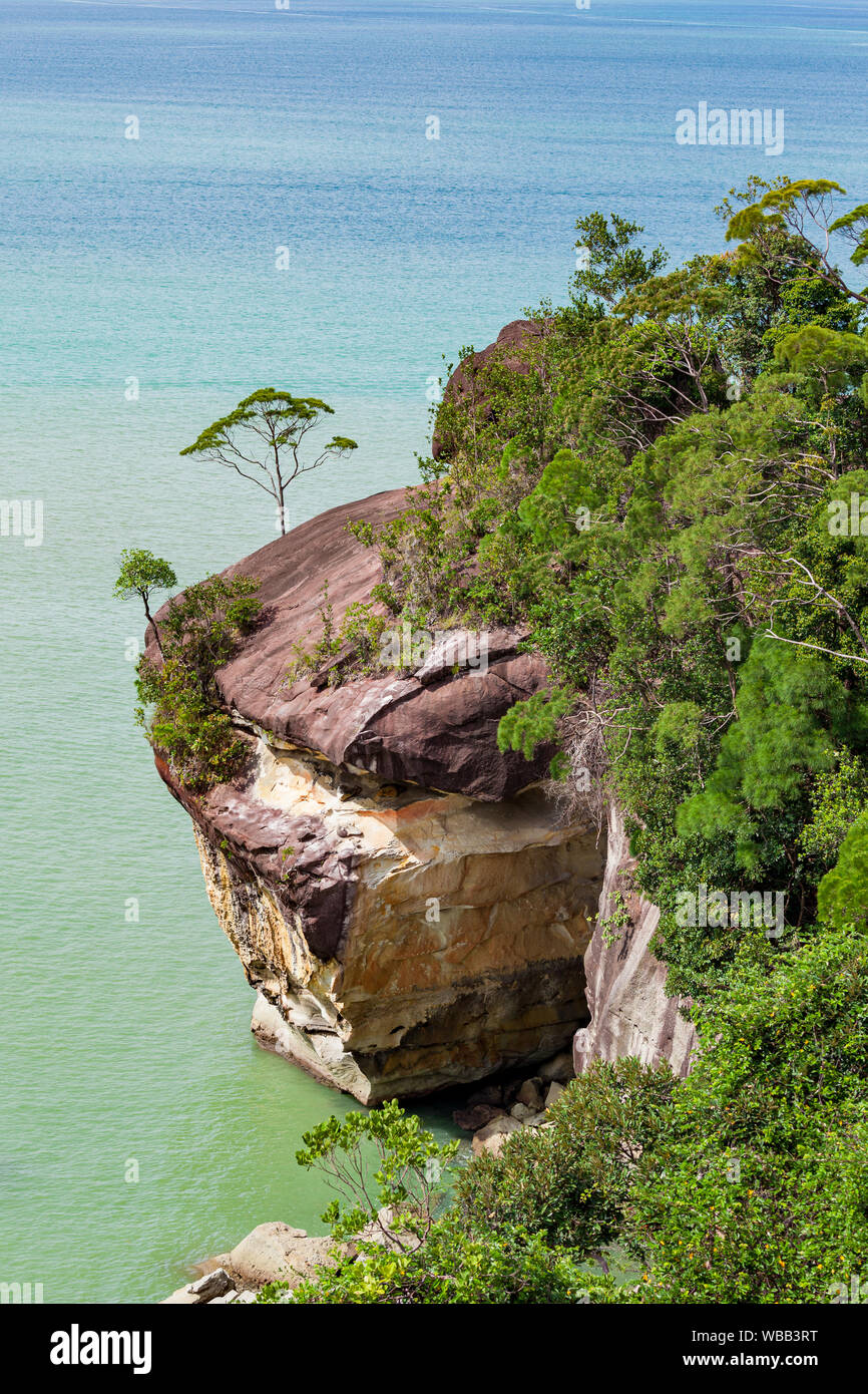 Cliff and trees at ocean shore Stock Photo - Alamy