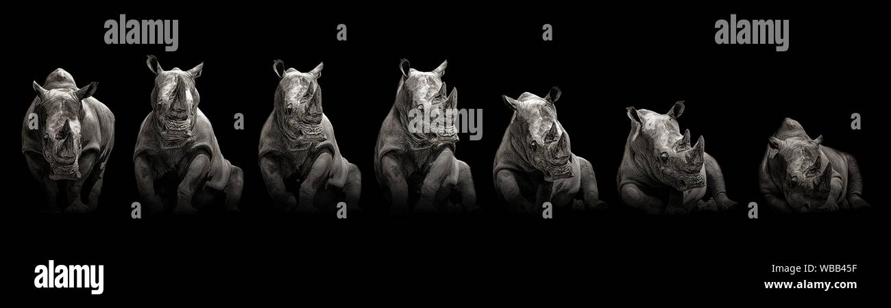 White position hi-res stock photography and images - Alamy