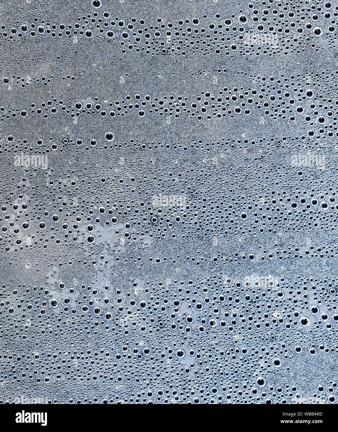 Background of the condensate drops on the film is polyethylene. Water ...