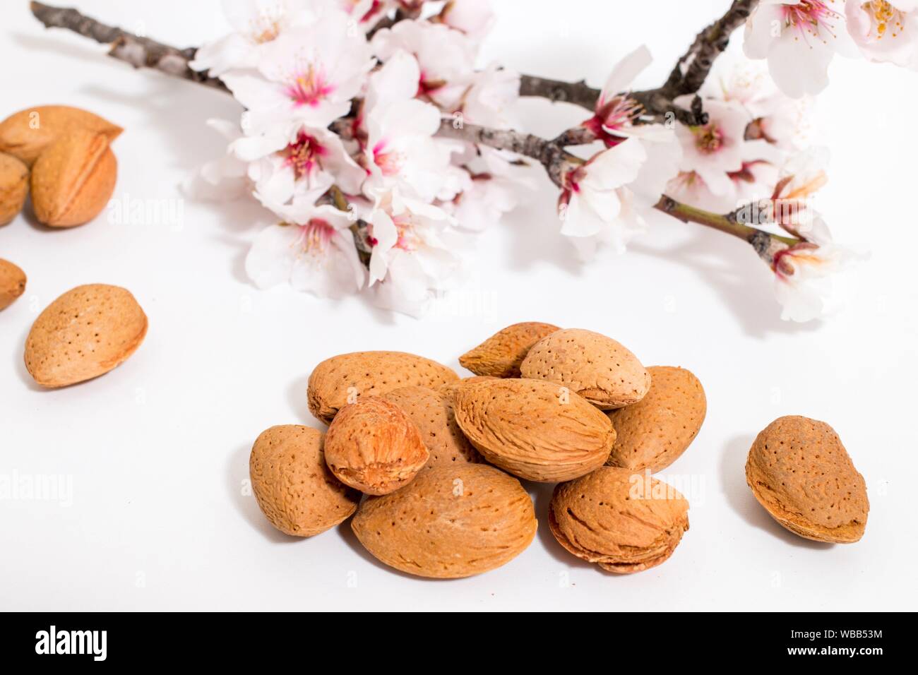 Almond tree branch hi-res stock photography and images - Alamy