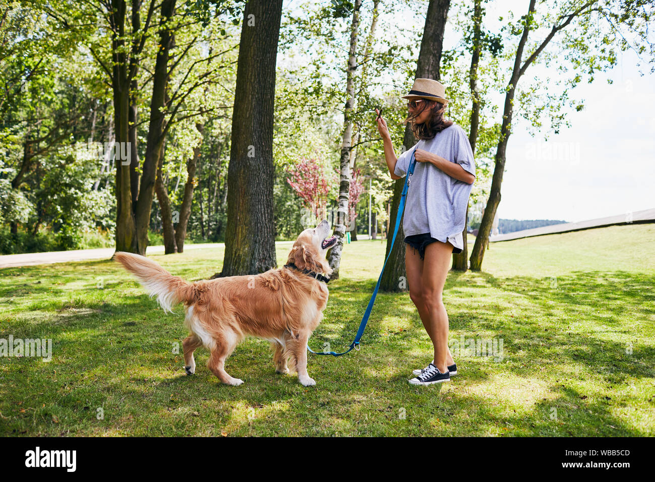 Dog training companionship hi-res stock photography and images - Alamy