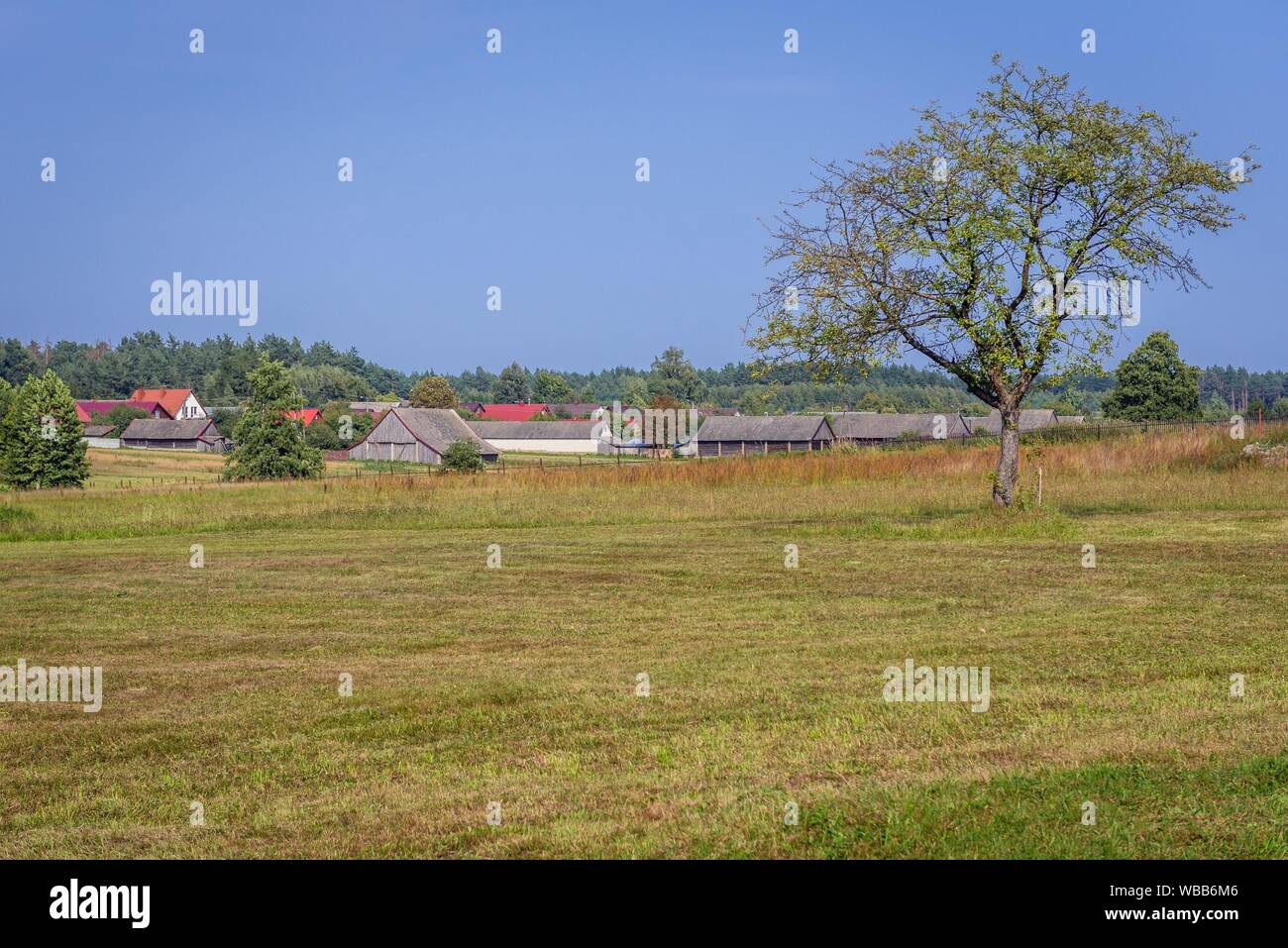 The land of open shutters hi-res stock photography and images - Alamy