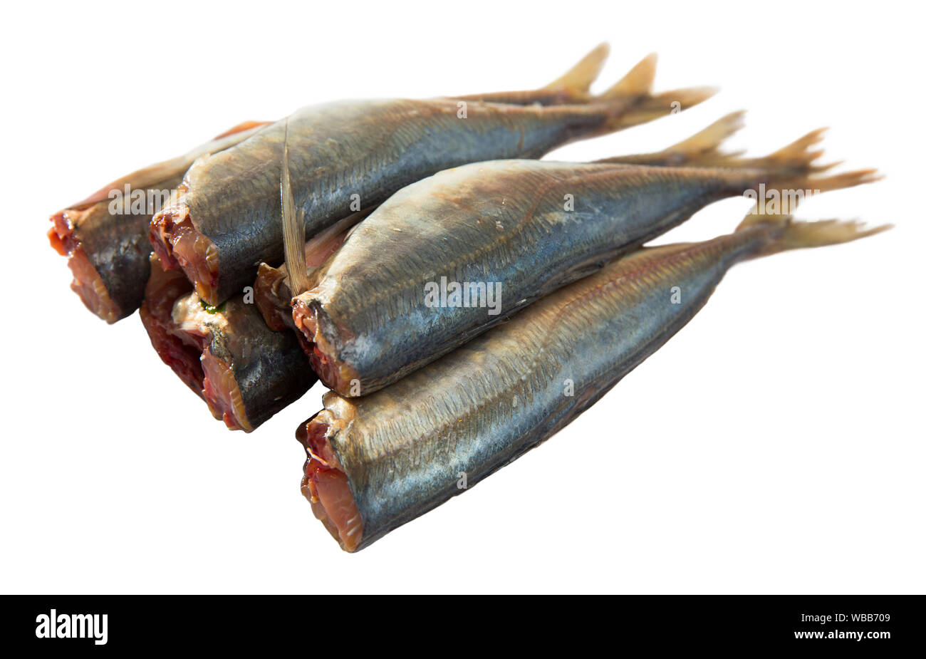 Fresh eviscerated Atlantic horse mackerel. Isolated over white ...
