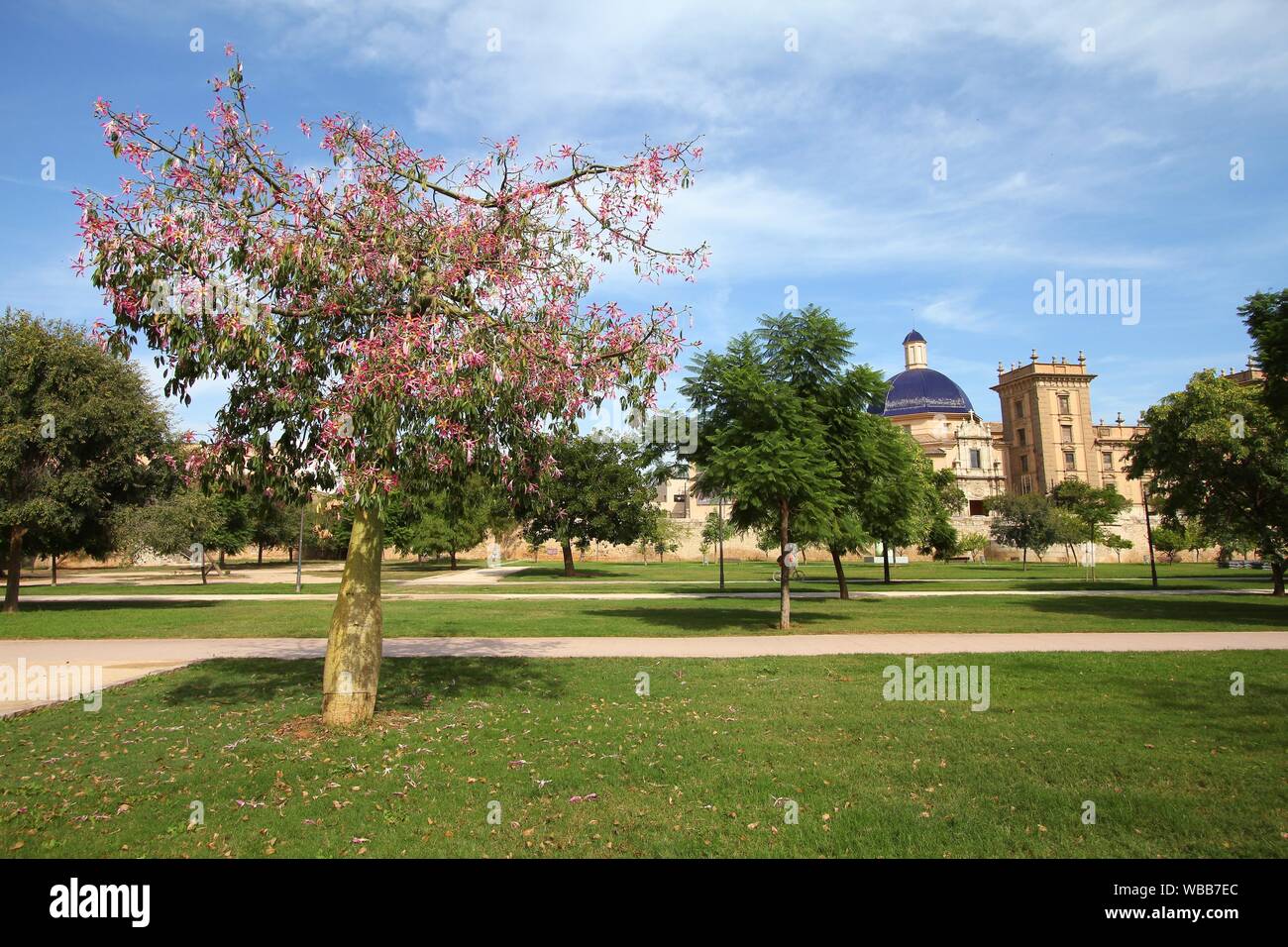 Valencia, Spain. Famous Turia gardens, park made in old riverbed ...