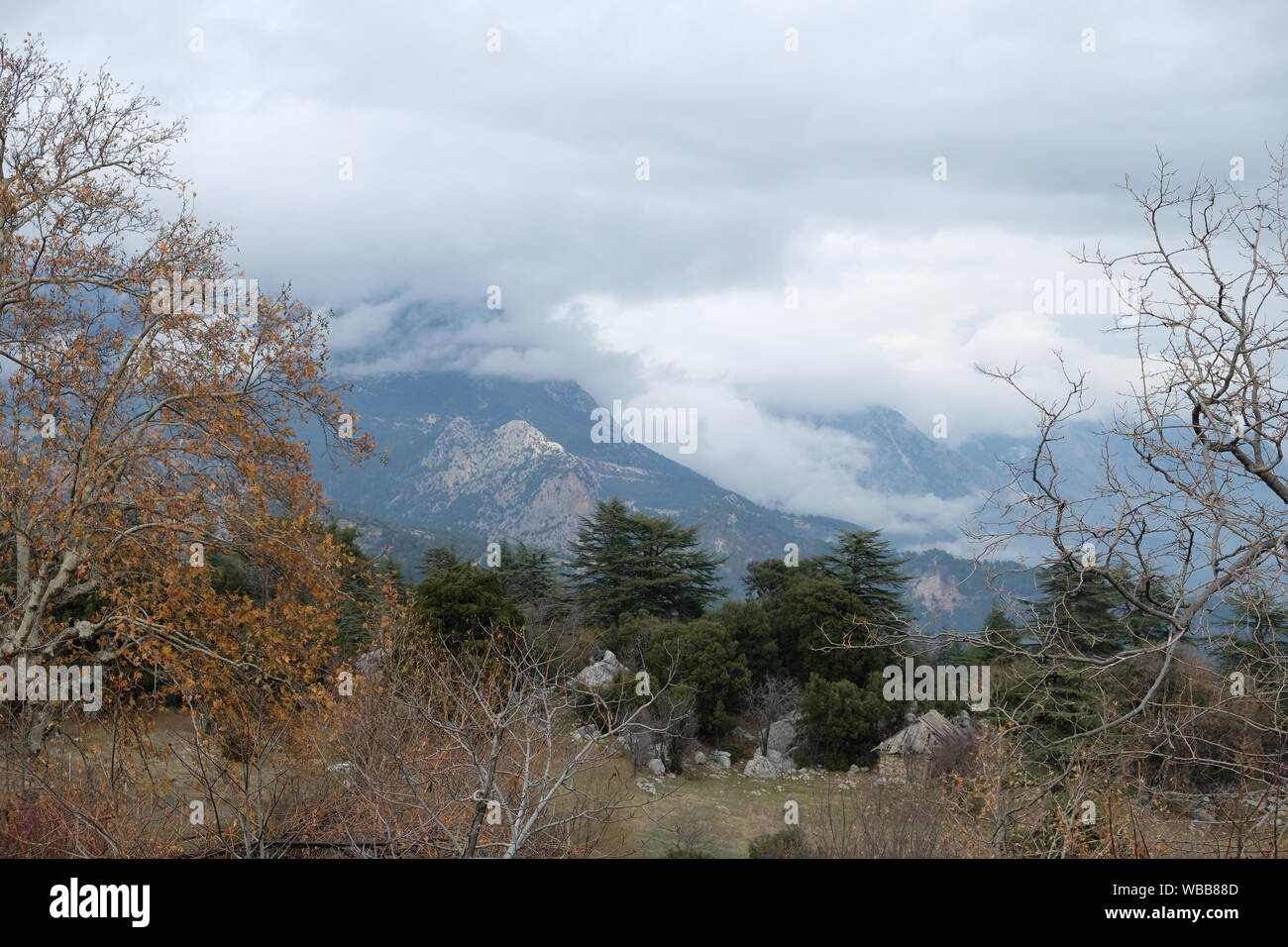 autumn colours in antalya turkey Stock Photo - Alamy