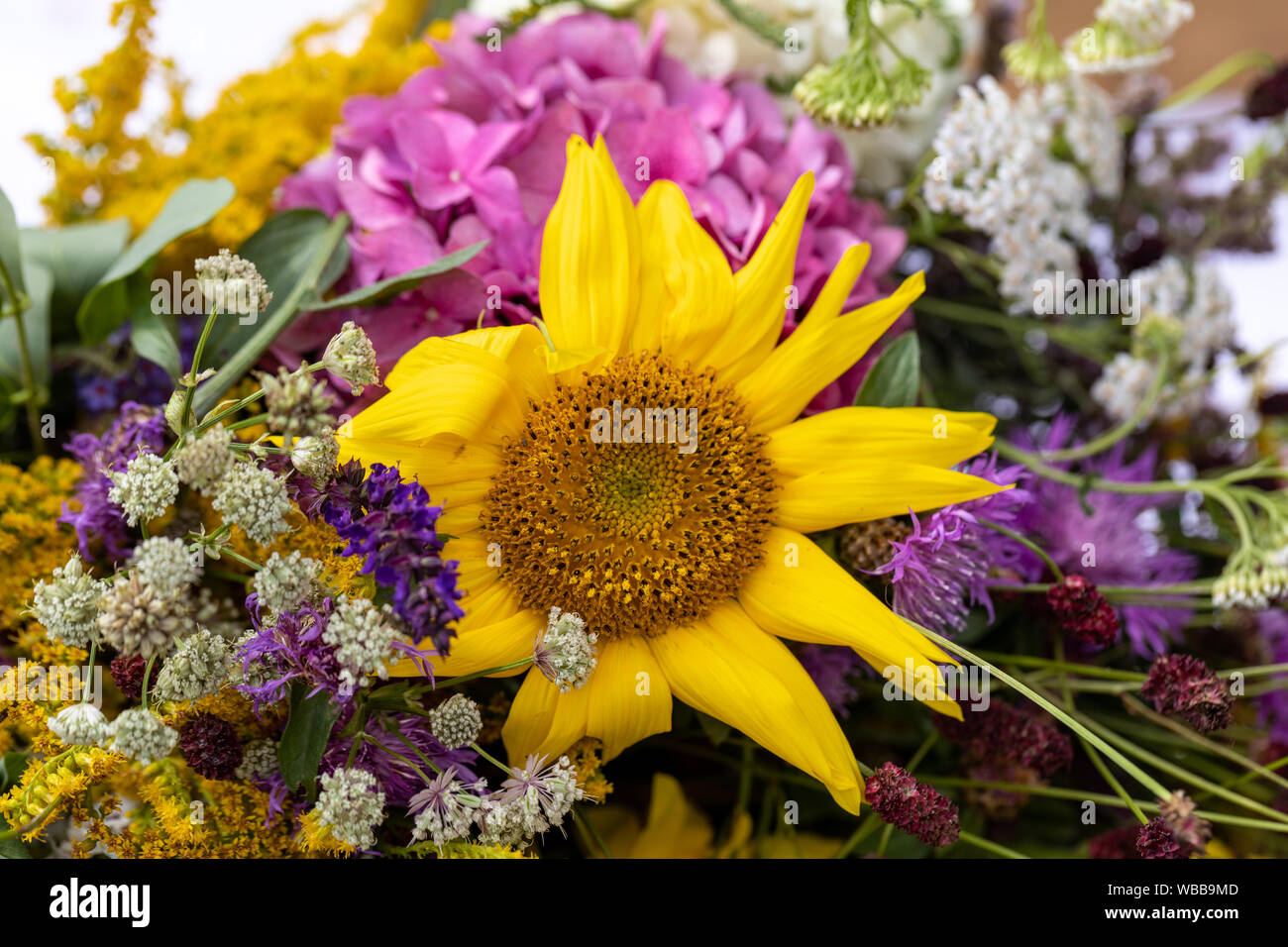 Floristic bouquet of flowers, herbs and fruits that are the symbol of ...