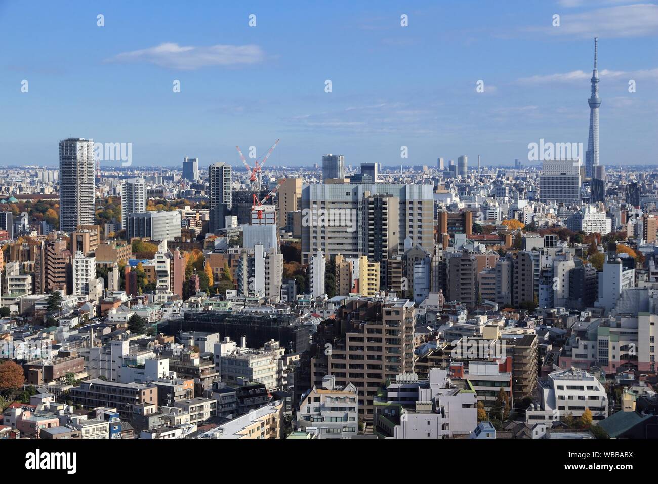 Tokyo city skyline - Japanese capital city aerial view seen from Bunkyo ...