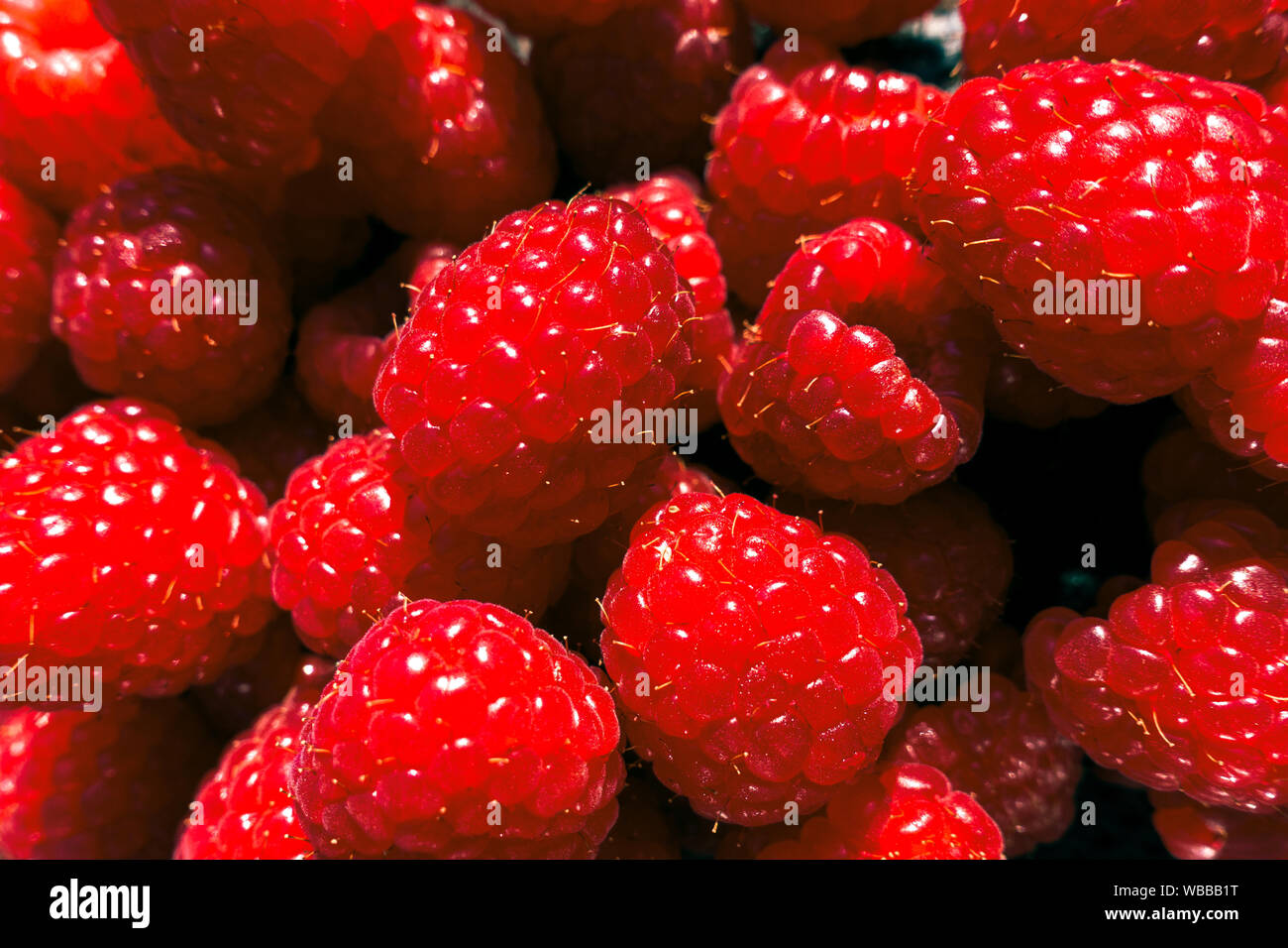 Scottish raspberries hi-res stock photography and images - Alamy