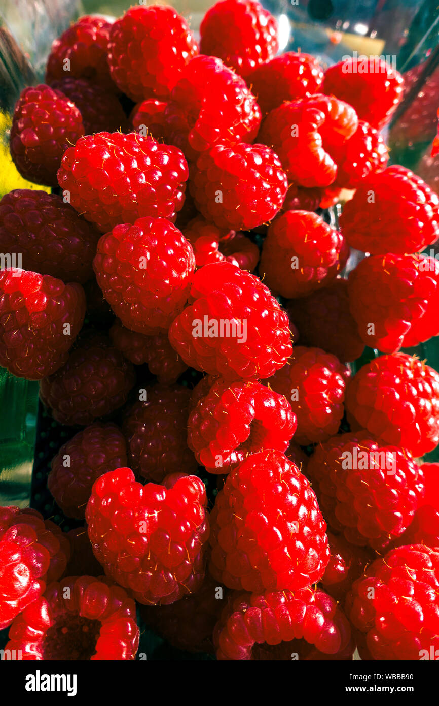 Scottish raspberries hi-res stock photography and images - Alamy