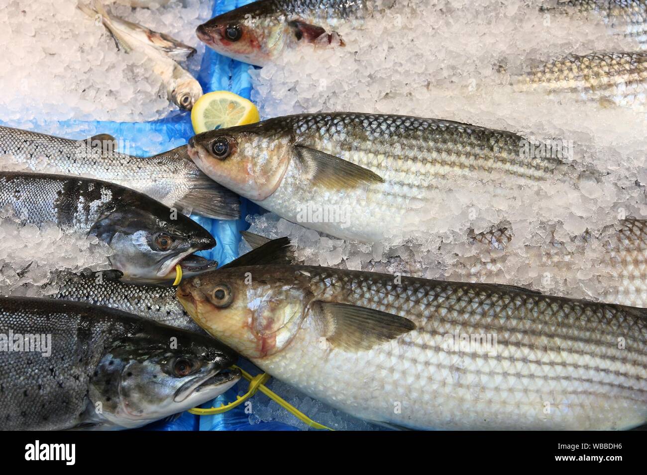 Grey mullet - fresh fish shopping at a market place in Leeds, UK Stock ...