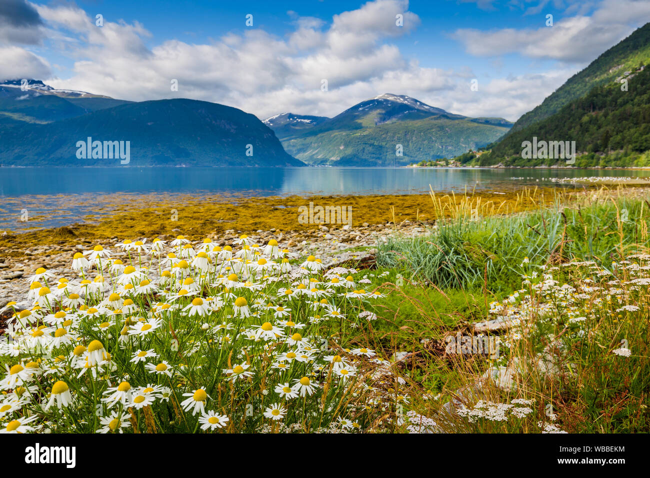 Valldalen norway hi-res stock photography and images - Alamy