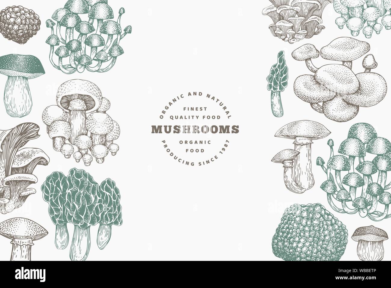 Mushrooms design template. Vector hand drawn illustrations. Mushroom in ...