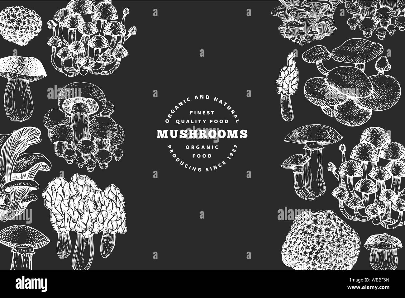 Mushrooms design template. Vector hand drawn illustrations on chalk ...