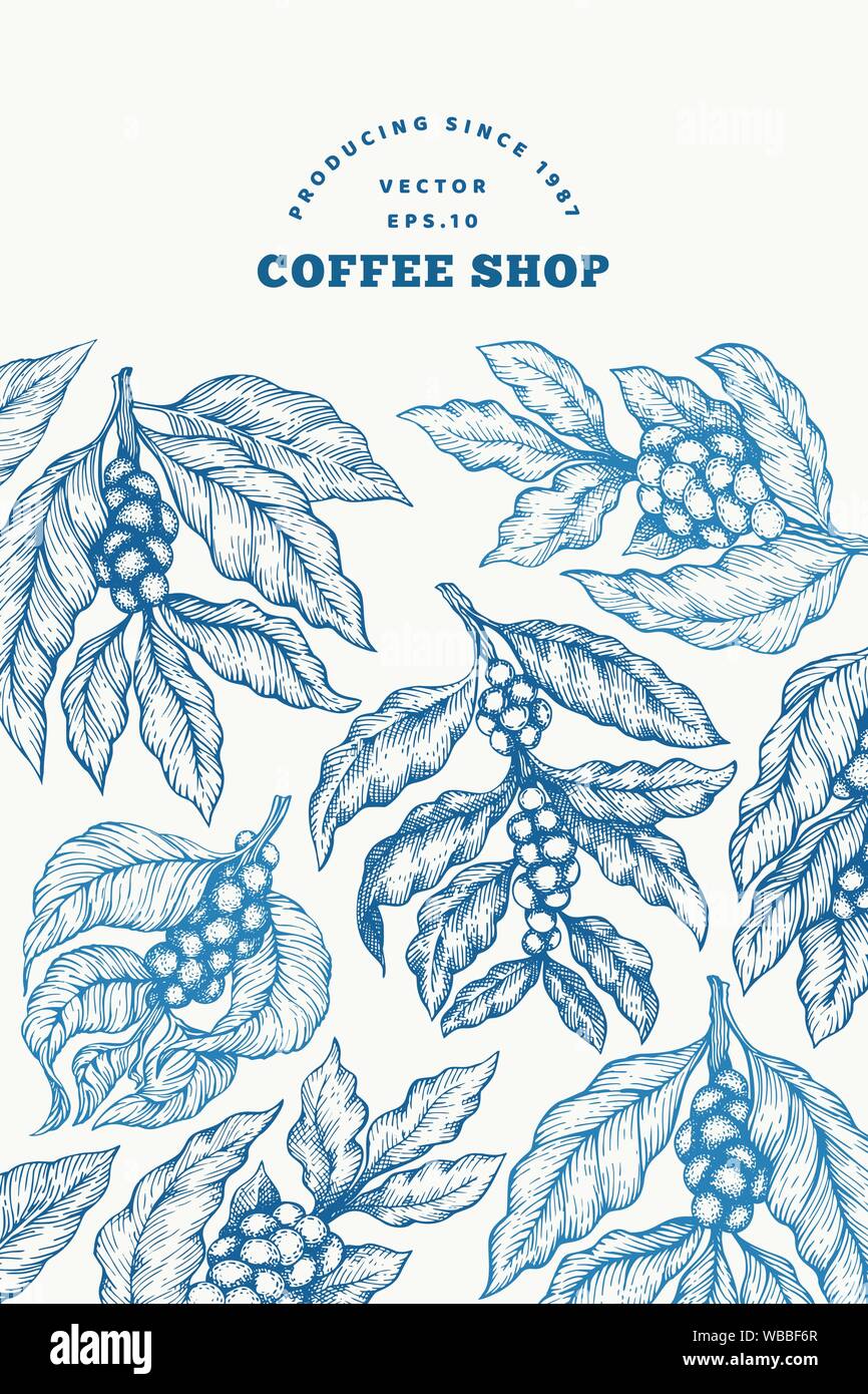 Coffee tree branch vector illustration. Retro coffee background. Hand ...