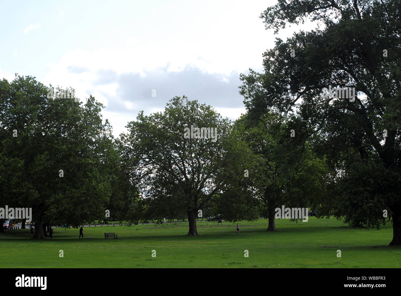 Peckham Rye Park in Spring Time Stock Photo - Alamy