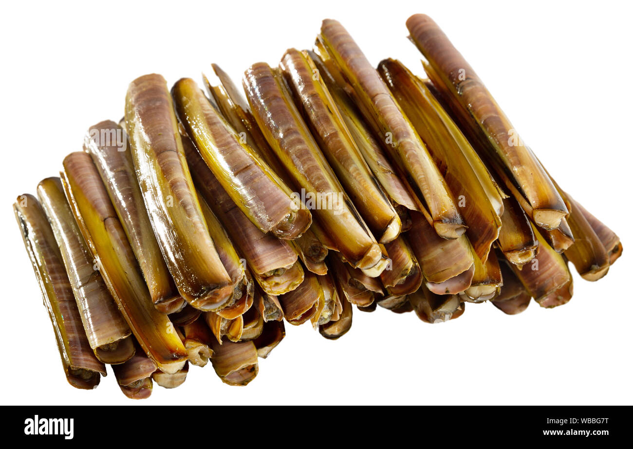 Seafood appetizer. Raw fresh molluscs razorshell (ensis) in shells ...