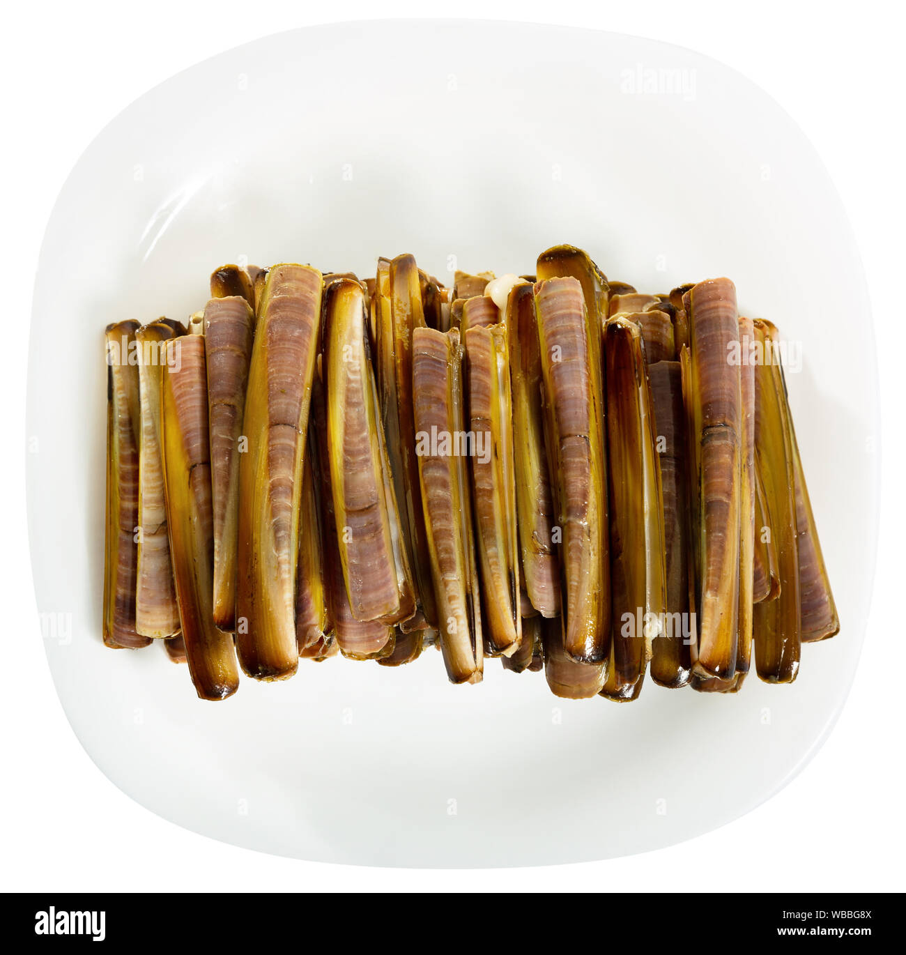 Seafood. Edible saltwater clams ensis in long narrow shells. Isolated ...