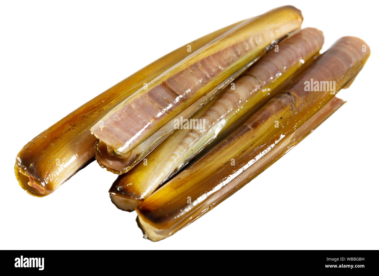 Solen Cut Out Stock Images & Pictures - Alamy