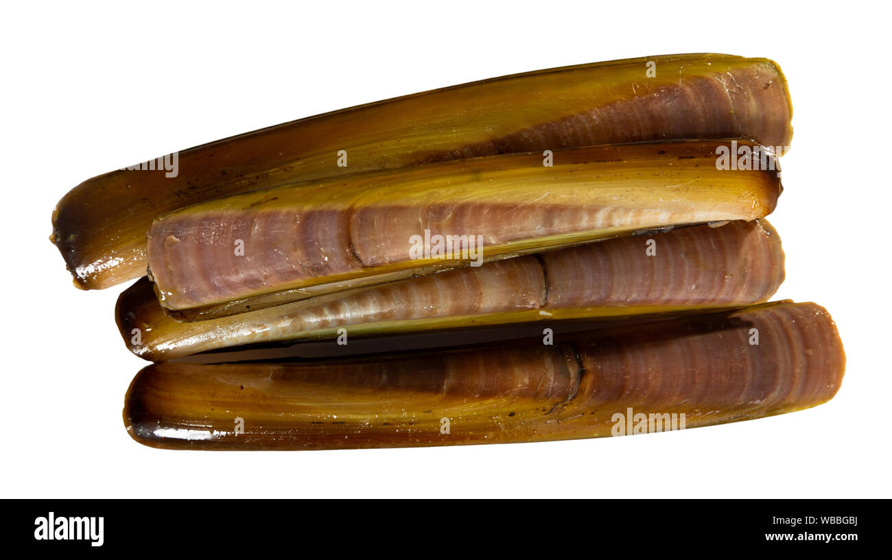 Ensis razorshell Cut Out Stock Images & Pictures - Alamy