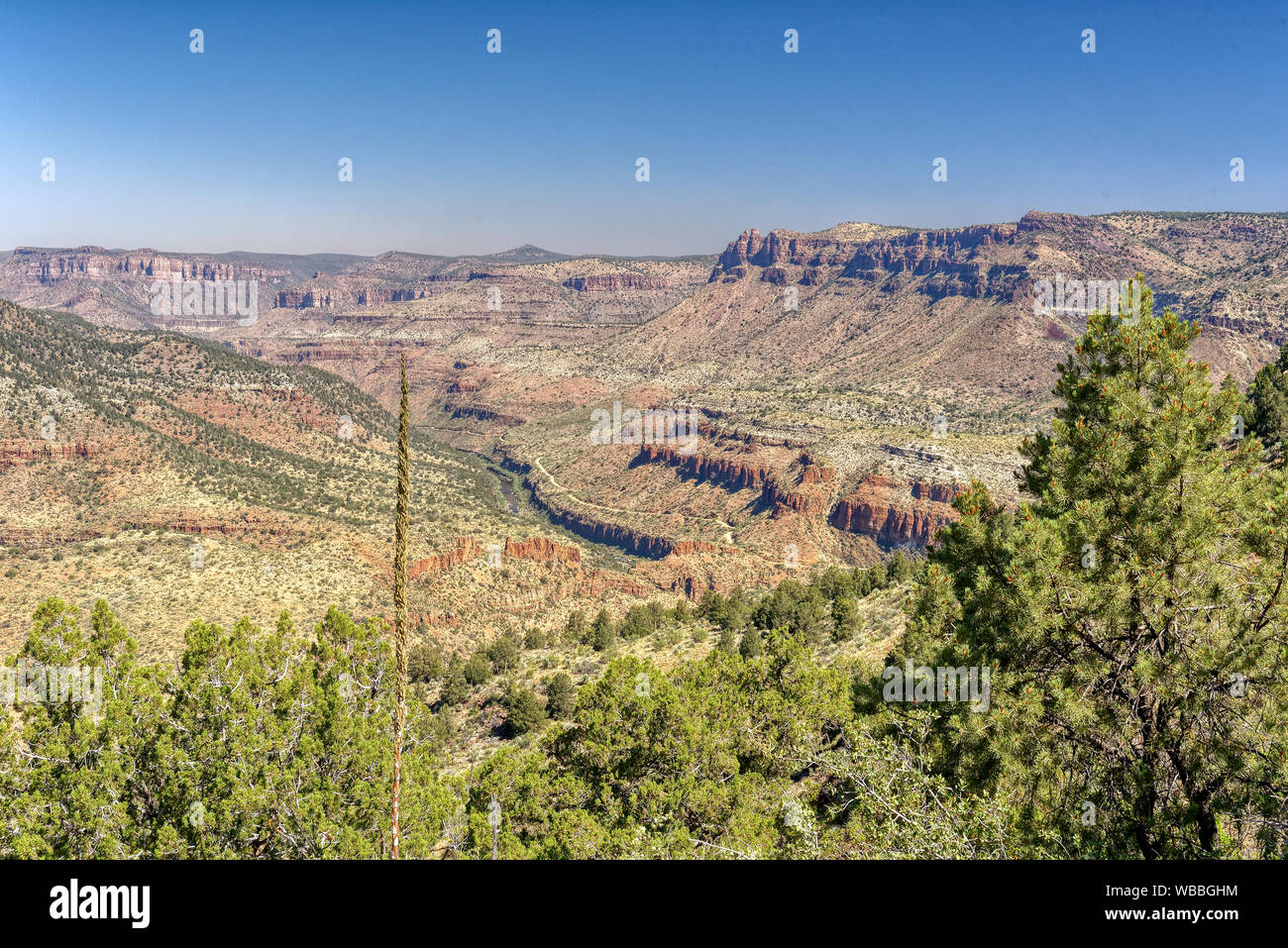 Show low arizona hi-res stock photography and images - Alamy