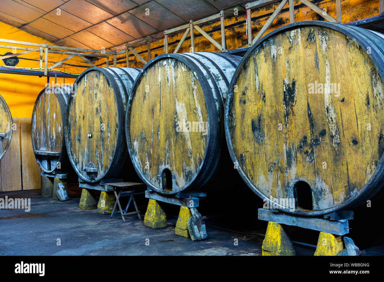 Wooden barrels in rows at contemporary cider actory. Asturias. Spain ...