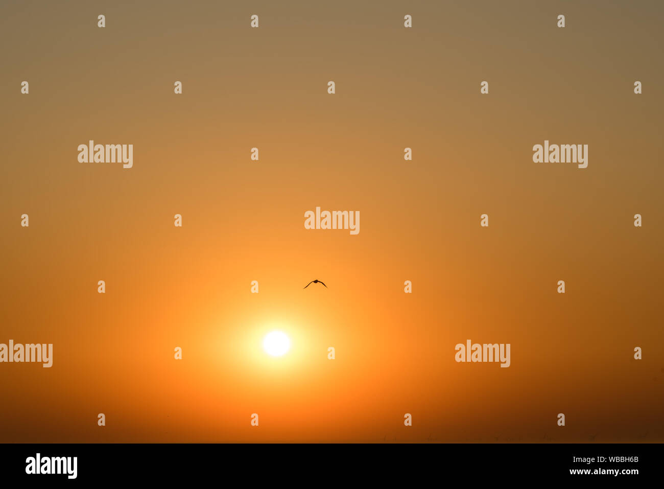 Sunset at Margate Beach, England, UK Stock Photo - Alamy