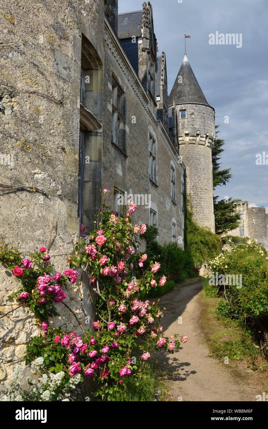 Chateau De Montresor Castle High Resolution Stock Photography and ...