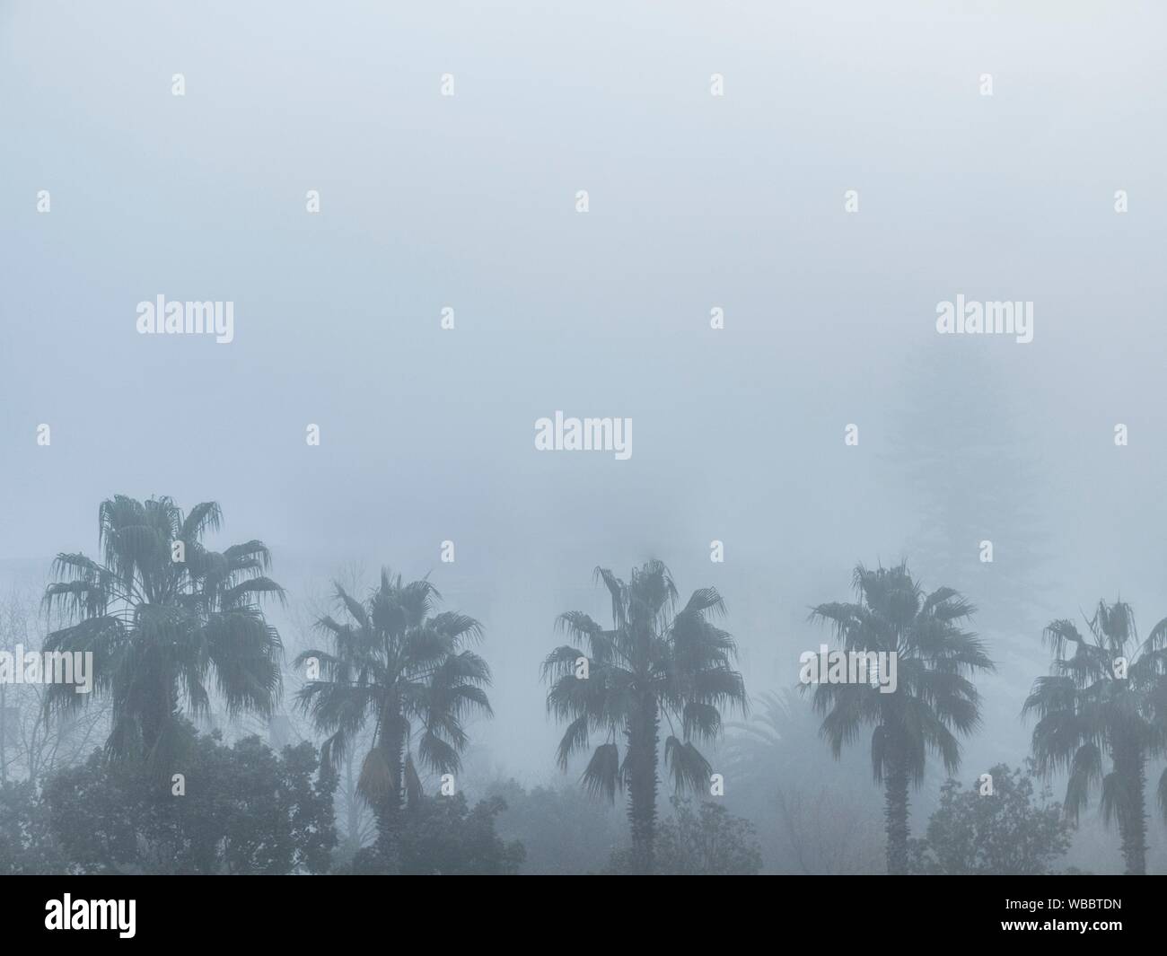 Grey cold morning hi-res stock photography and images - Alamy
