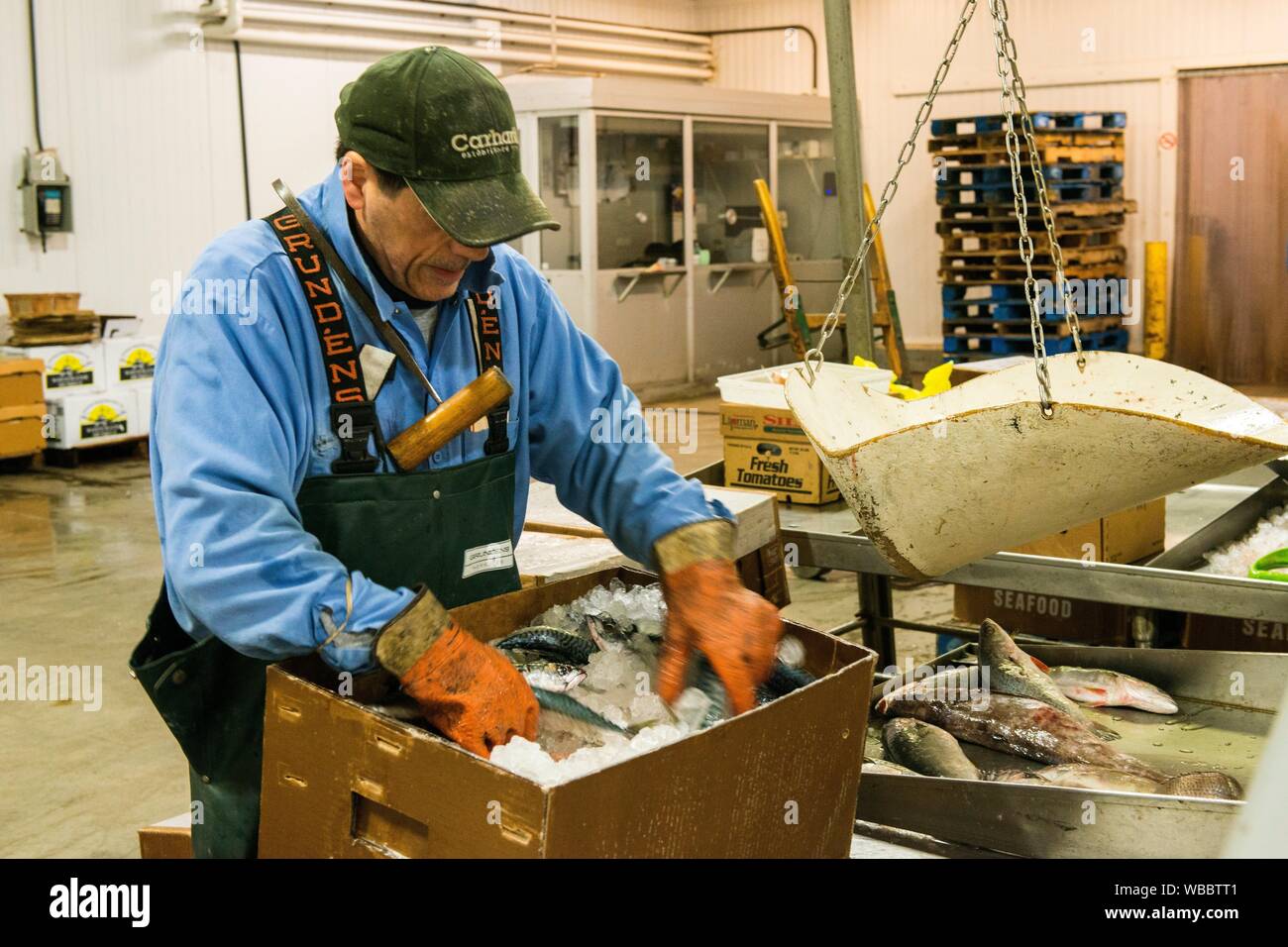 Fish Supply Chain High Resolution Stock Photography and Images - Alamy