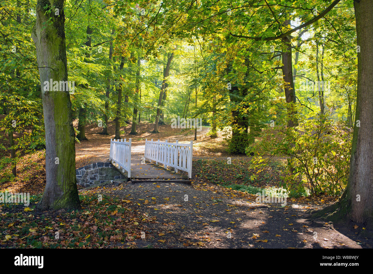 Woden park hi-res stock photography and images - Alamy