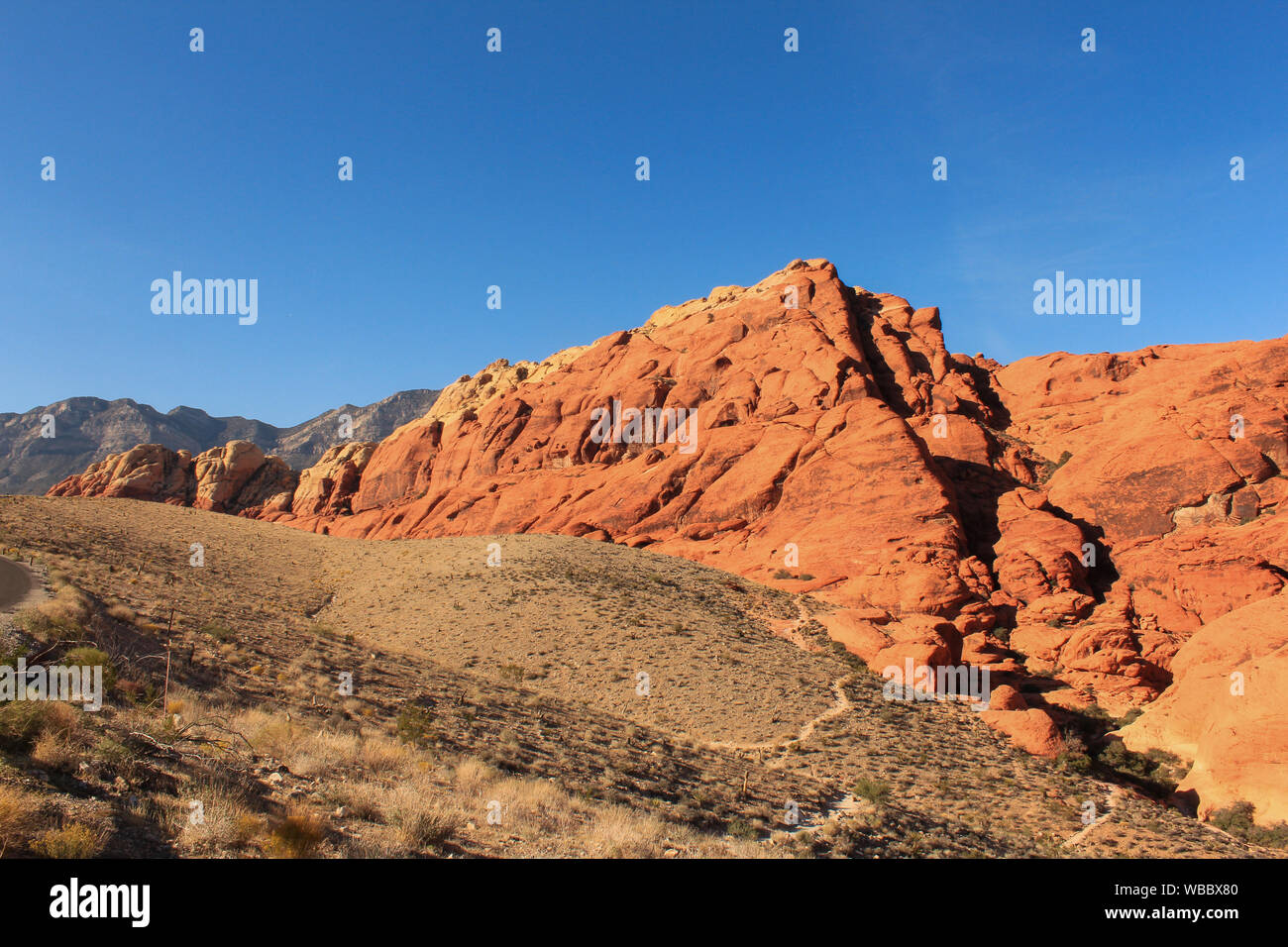 Red rock conservation area in nevada usa america hi-res stock ...