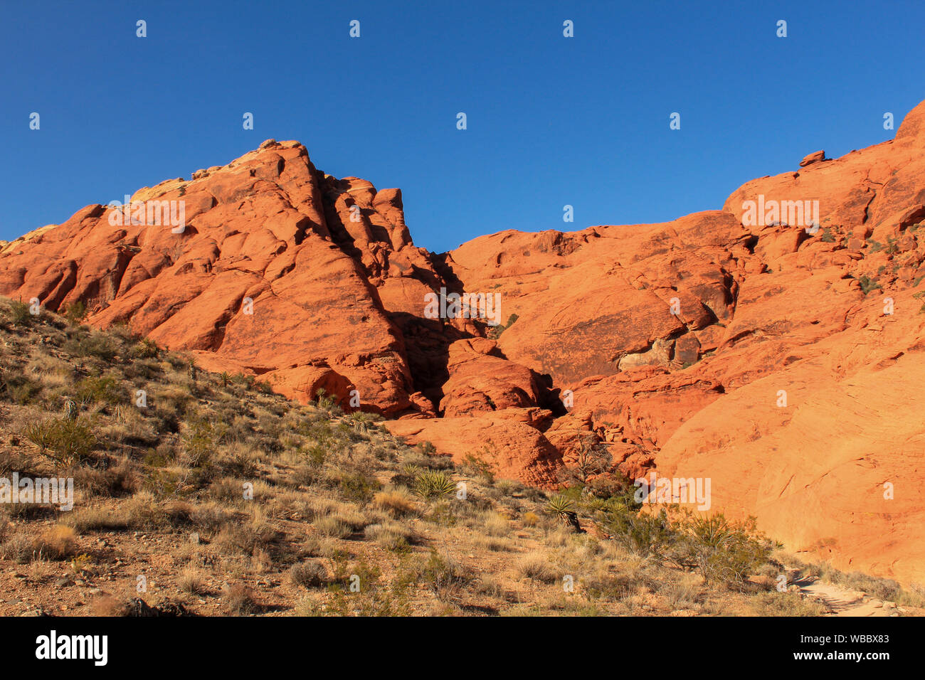 Red rock conservation area in nevada usa america hi-res stock ...
