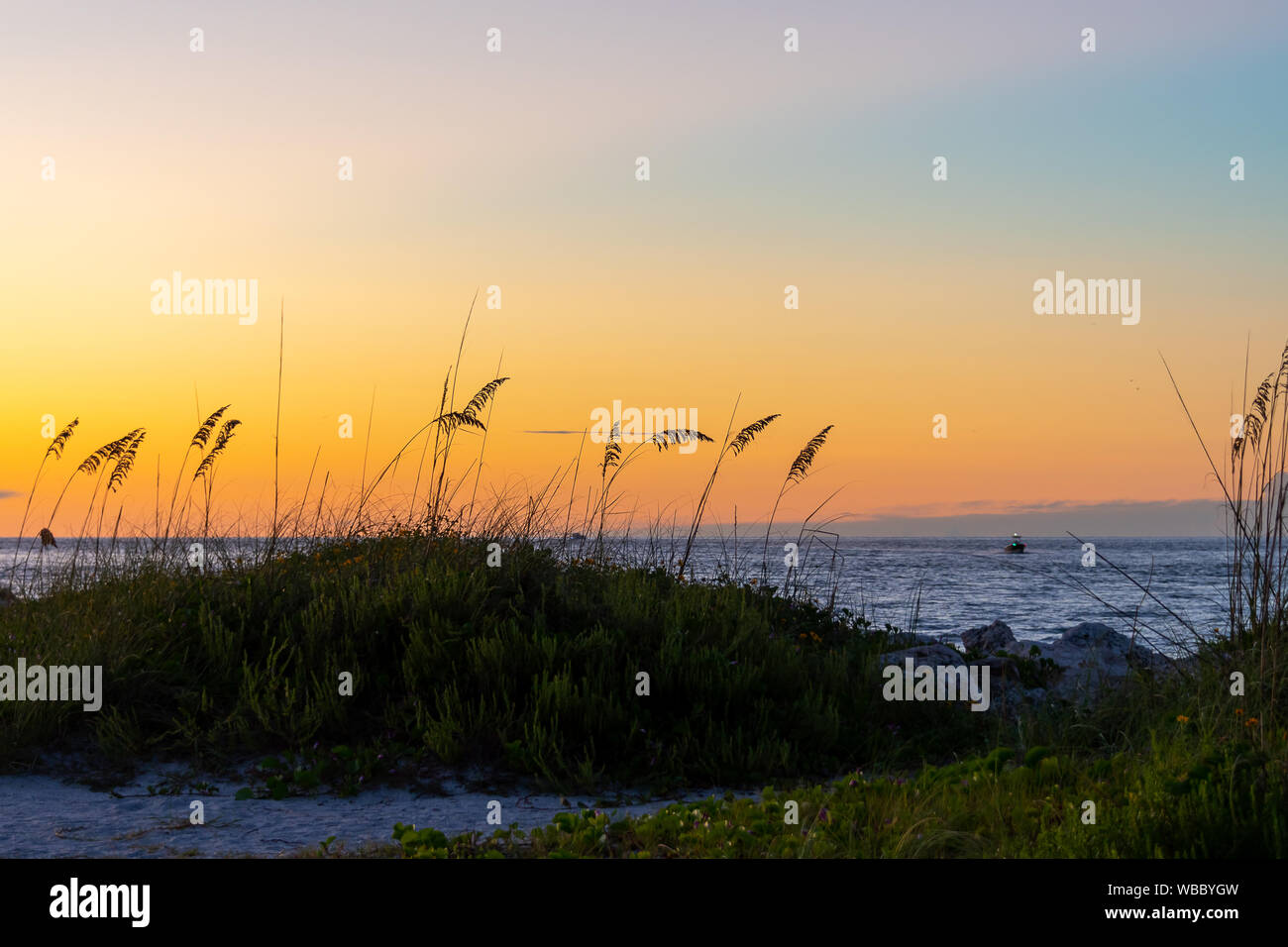 Sunset sky at the beach with sea grasses Stock Photo - Alamy
