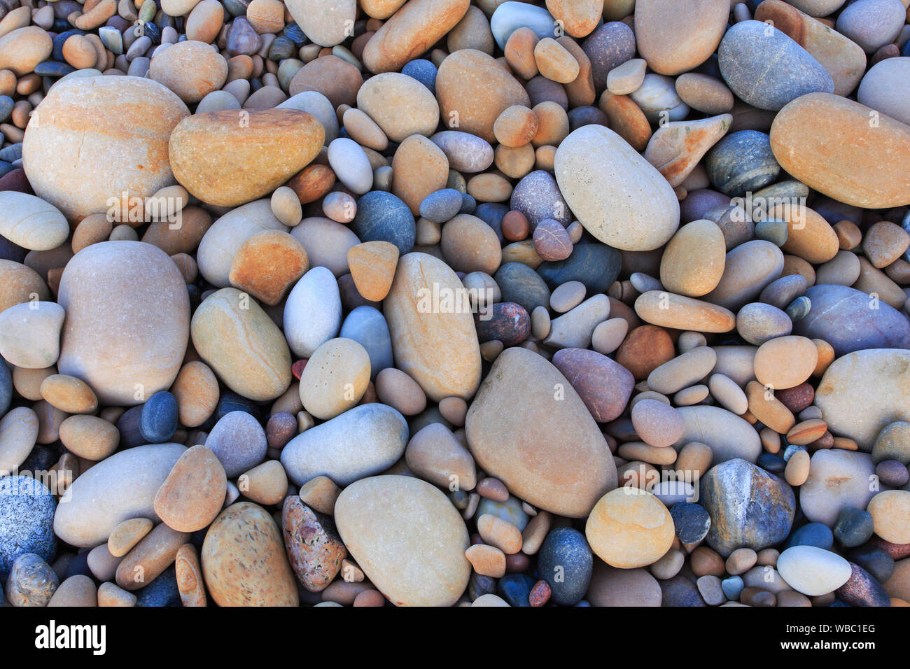 Stones on the beach, Scotland Stock Photo - Alamy