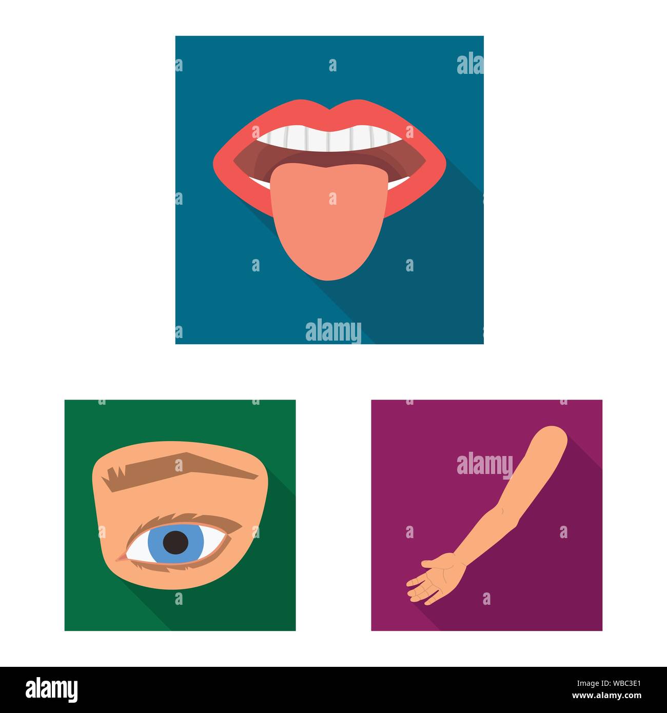Isolated object of body and part icon. Set of body and anatomy stock vector illustration Stock ...