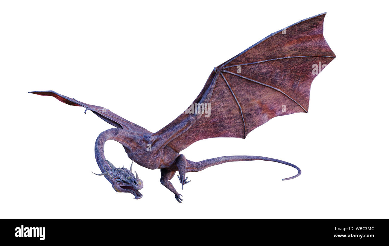 flying dragon, winged fantasy animal isolated on white background (3d ...