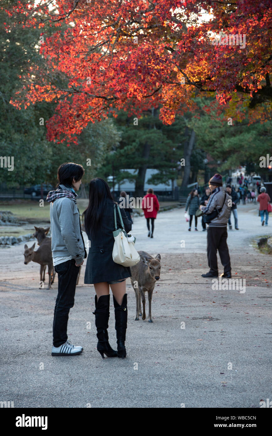 Young japanese couple hi-res stock photography and images - Alamy