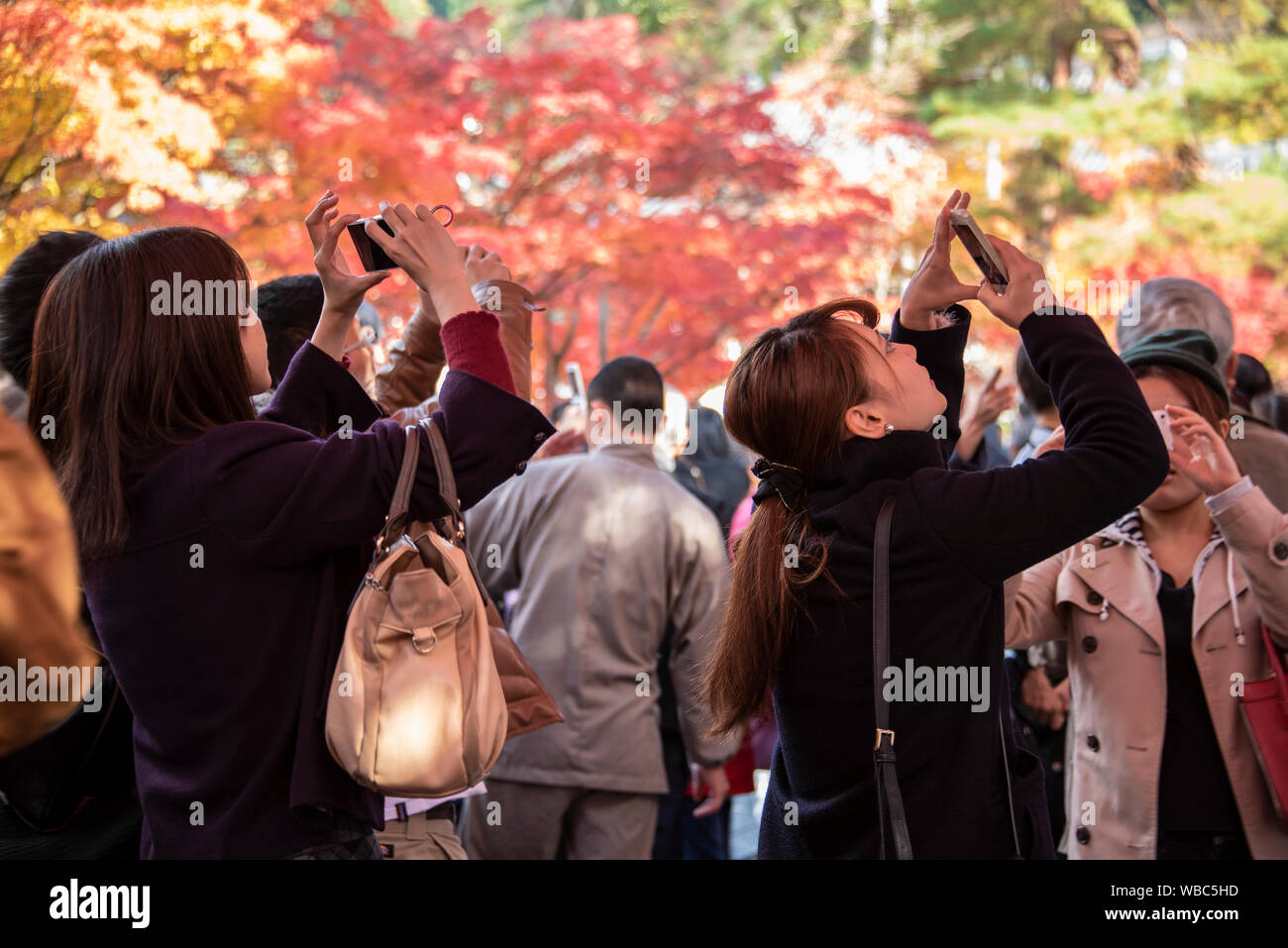 Large crowds visiting Tofuku-ji Temple, Kyoto, Japan Stock Photo - Alamy