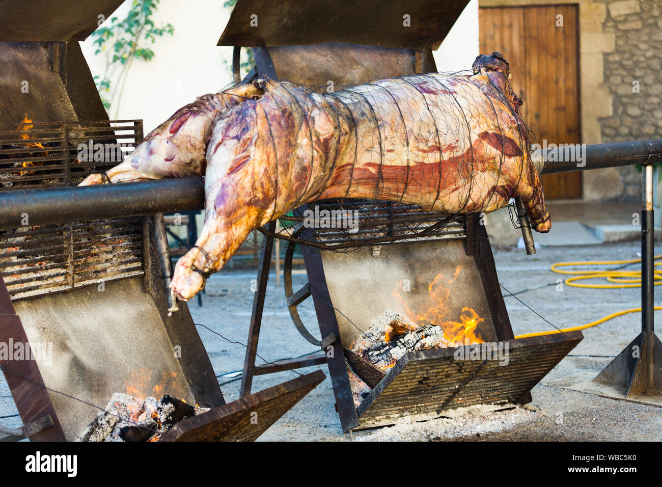 Whole bull on spit. Cooking treats at Medieval Fiesta in Besalu, Spain ...