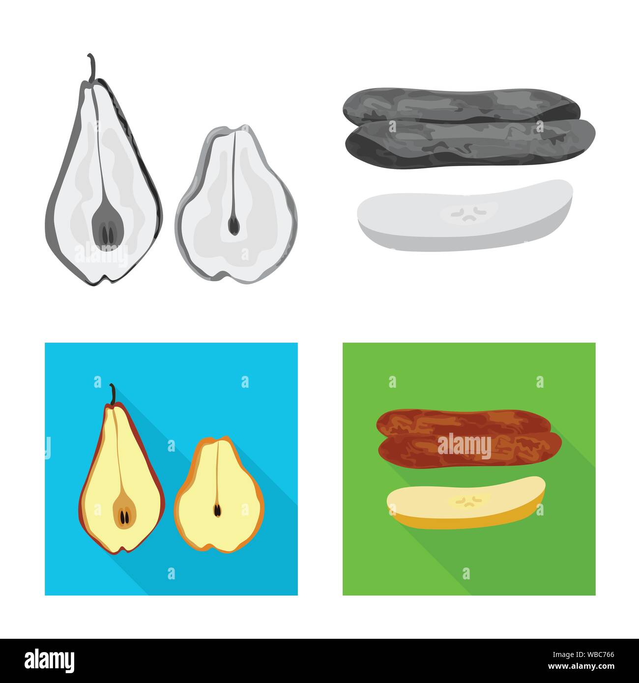 Vector illustration of food and raw symbol. Collection of food and ...
