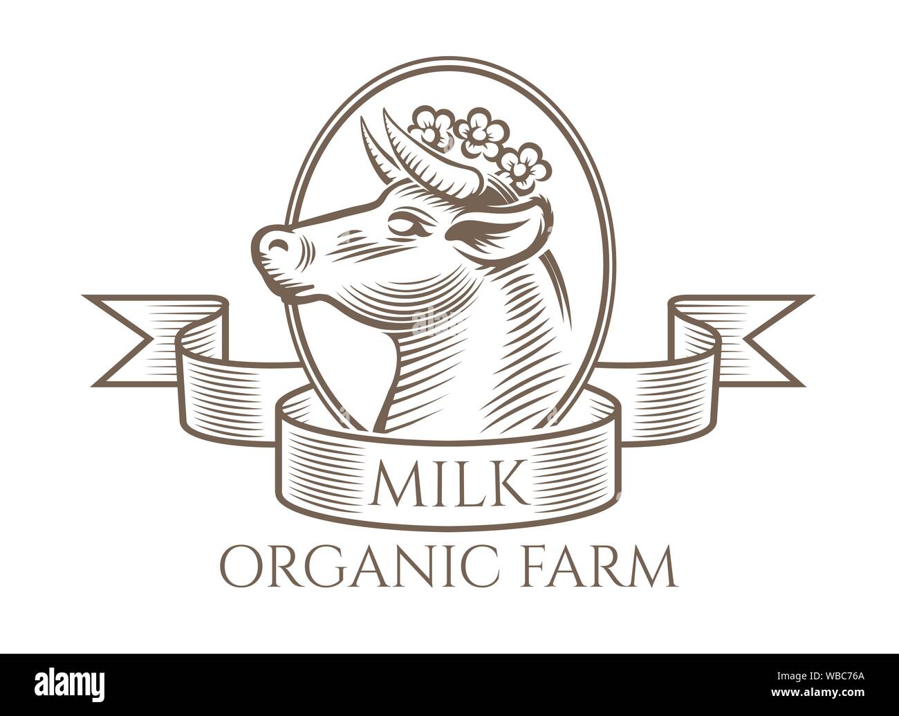 Cow engraving logo. Engraving vintage sketch cows head sign isolated on ...