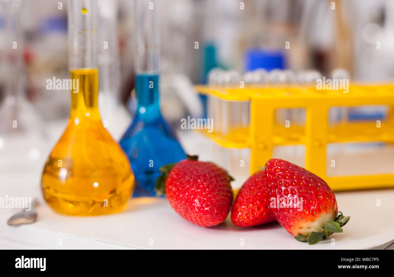 View of fresh ripe strawberry with test tubes and tools on table in ...