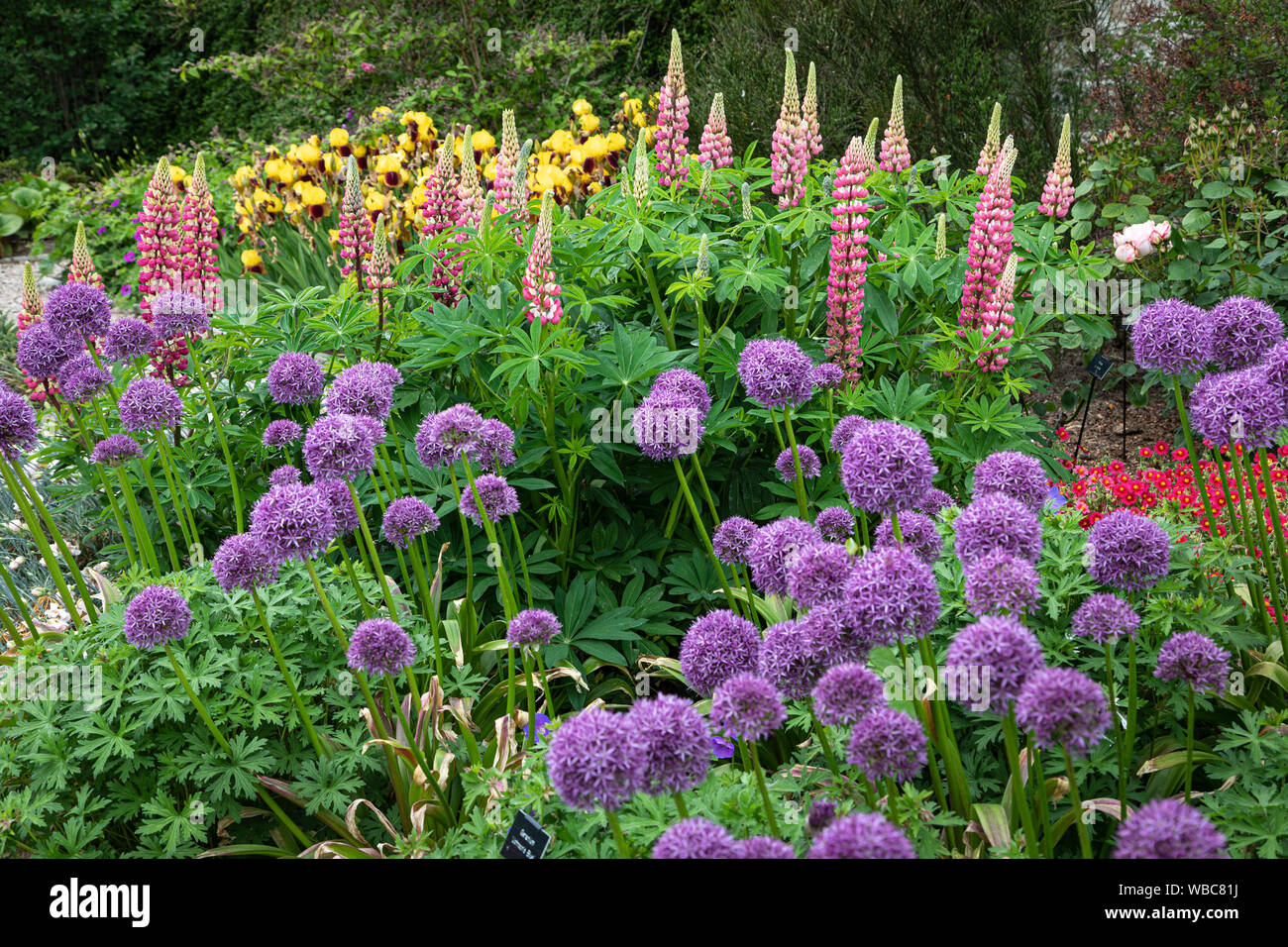 The botanic gardens at samares manor hi-res stock photography and ...