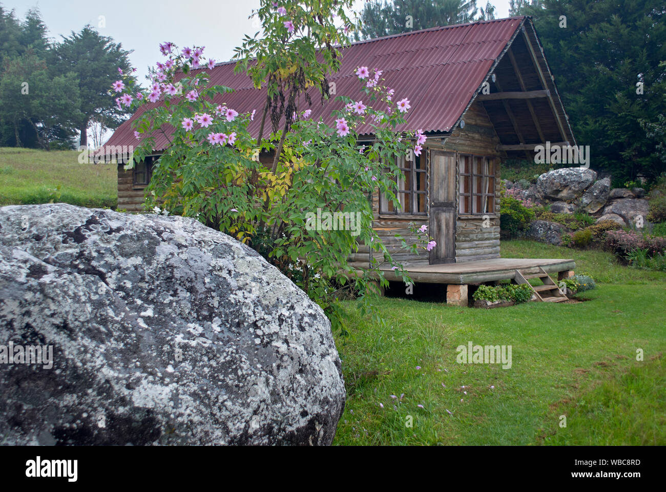 Cabins on the Fox-Farm tea estate in Mufindi (Tanzania highlands Stock ...