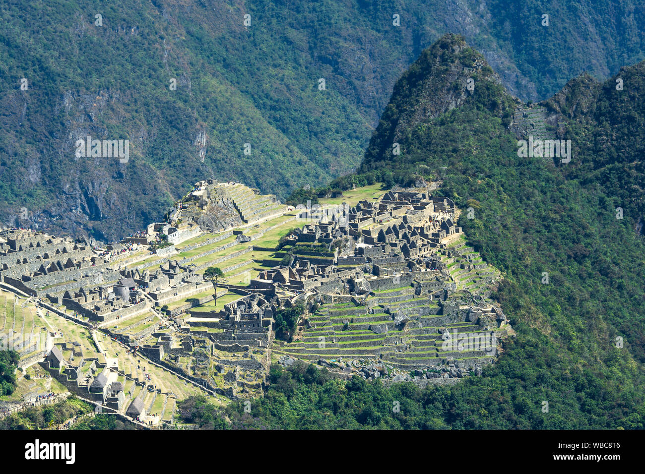 Machu Picchu archaeological site, Peru Stock Photo - Alamy
