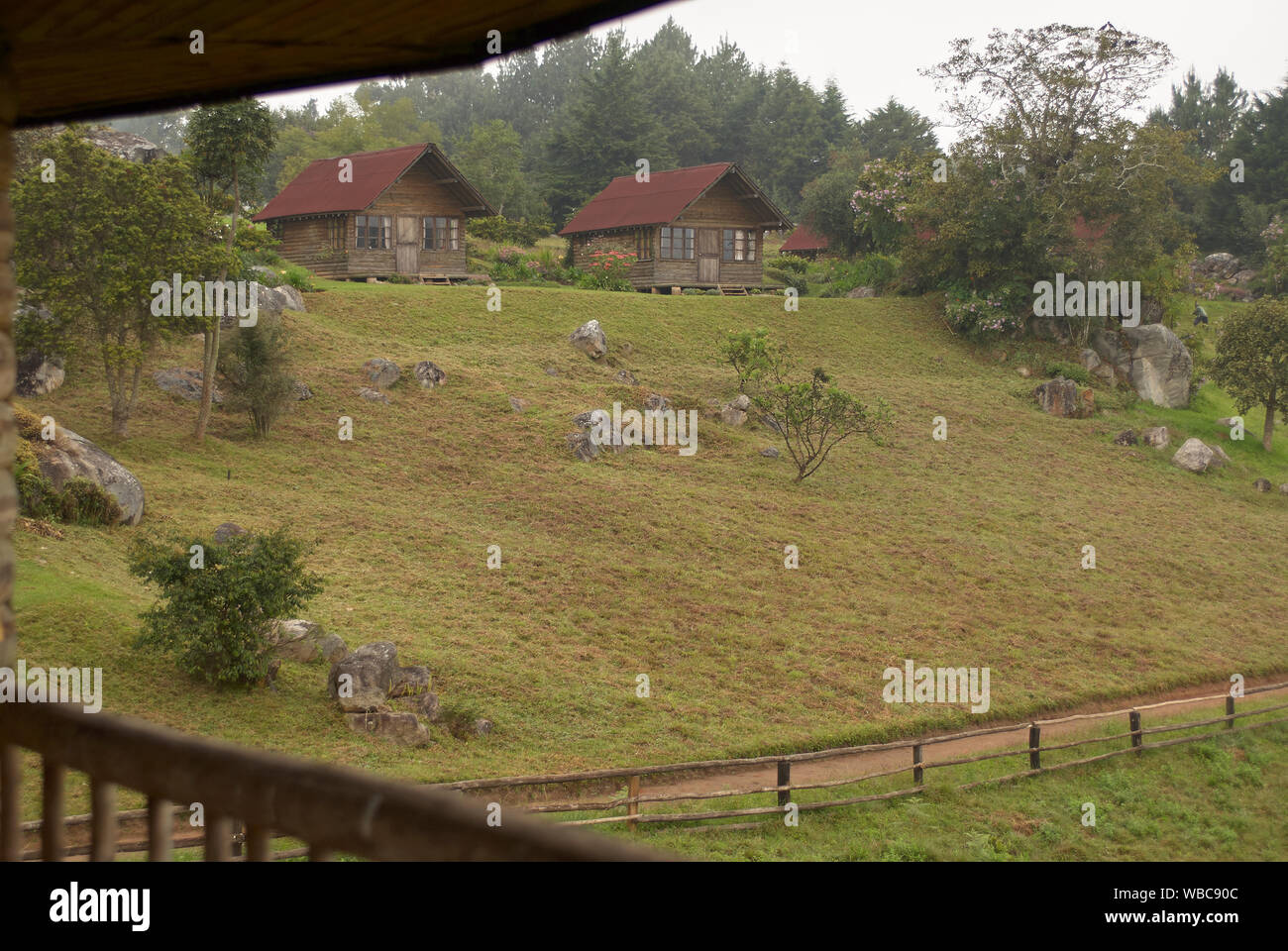 Cabins on the Fox-Farm tea estate in Mufindi (Tanzania highlands Stock ...