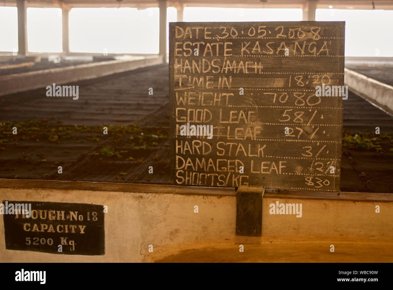 Sorted harvest hi-res stock photography and images - Alamy