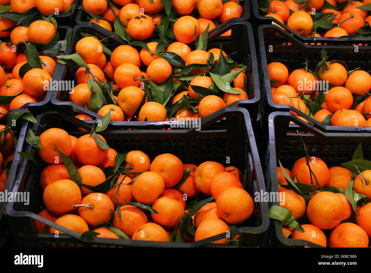 Mandarin boxes hi-res stock photography and images - Alamy