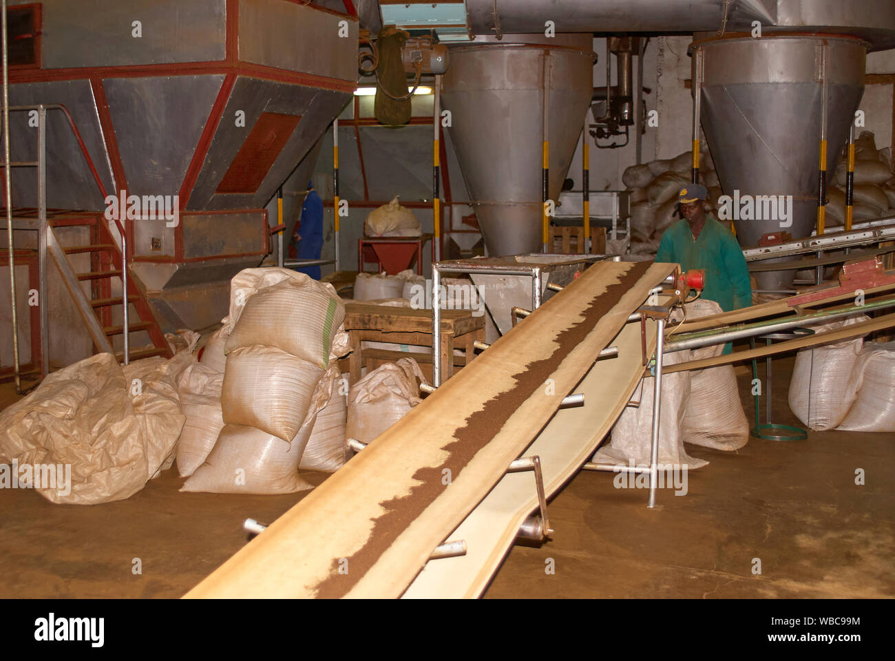Factory packing of the final tea produce Stock Photo - Alamy